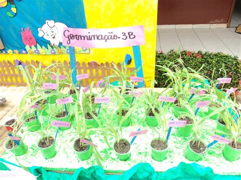 Meio Ambiente Na Escola Projeto FDPLEARN
