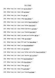 DO DOES ESL Worksheet By JIA YU WU