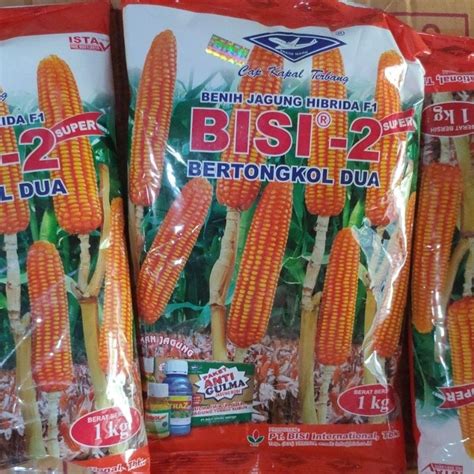 Jual Benih Jagung Hibrida BISI 2 Cap KAPAL TERBANG 1kg Shopee Indonesia