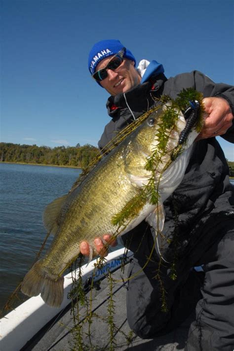 A Guide To Largemouth Bass Vs Smallmouth Bass