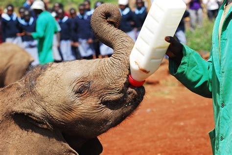 50 Free Orphanage Ngo Images Pixabay
