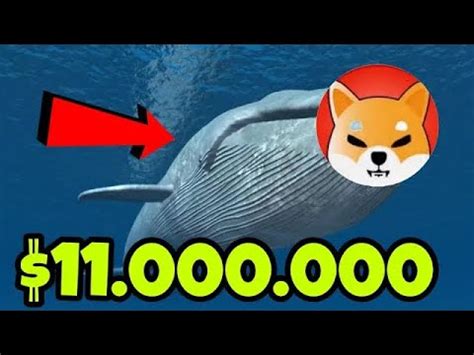 URGENTE HAZ ESTO ANTES DE QUE SHIBA INU EXPLOTE YouTube