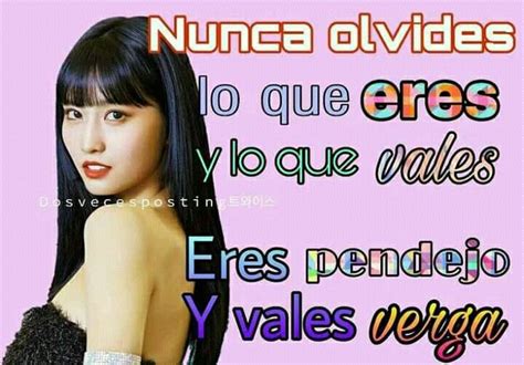 Pin de 𝑺𝒆𝒓𝒂𝒑𝒉𝒊𝒏𝒆ღ en Frases kk Insultos divertidos Frases tontas