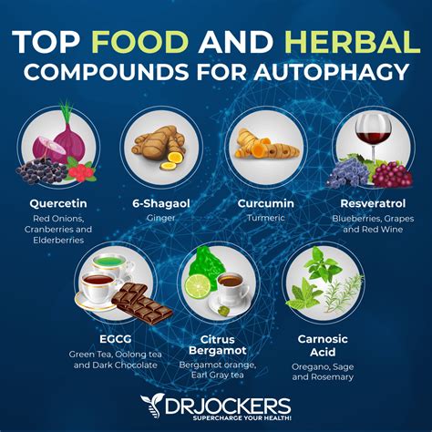 Autophagy What Is It And 8 Ways To Enhance It DrJockers