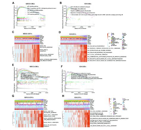 Gene Set Enrichment Analysis Gsea And Gene Set Variation Analysis
