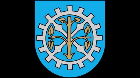 I Inauguracyjna Sesja Rady Miejskiej w Młynarach YouTube
