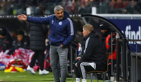 Schalke Bremen Tipp Prognose Quoten BILD Sportwetten
