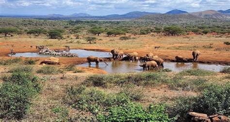 Day Amboseli Private Safari By Samson S Safaris Tourradar