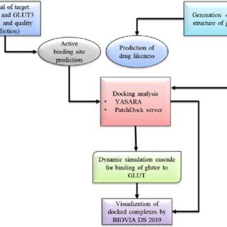 Schematic Strategy For In Silico Analysis The Flow Chart Illustrates
