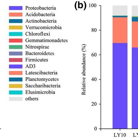 Microbial Community Composition At The Phylum Level Of The Different