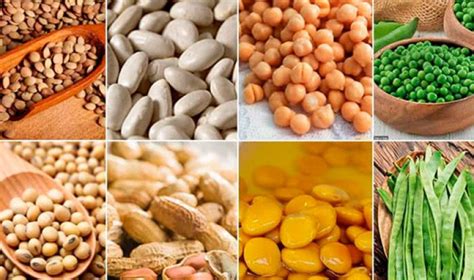 Por Qu Todos Deber Amos Comer Legumbres