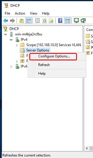 How To Configure DHCP For Multiple VLANs With OPNsense And Windows
