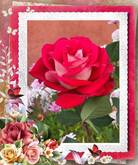 DIVAGAR SOBRE TUDO UM POUCO Poemas Flores Pinturas Férias Poema