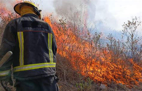 Incendios Forestales Afectan Varios Puntos De La Zmg Notisistema