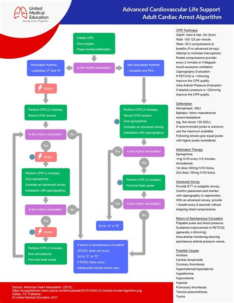 Acls Algorithms Advanced Cardiac Life Support Basic Life Support