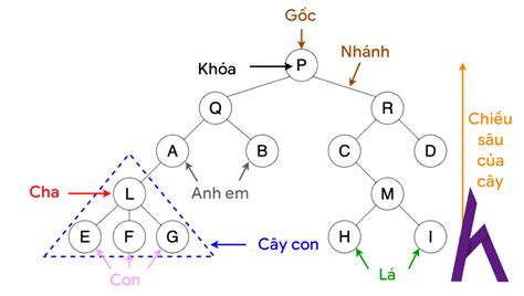 Cấu trúc dữ liệu giải thuật là gì How Kteam