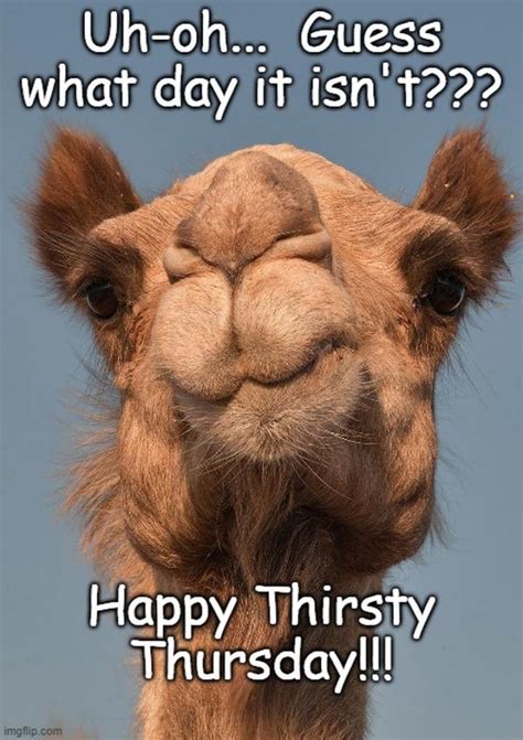 101 Funny Thursday Memes To Make You Happy All Day Long Thursday Meme