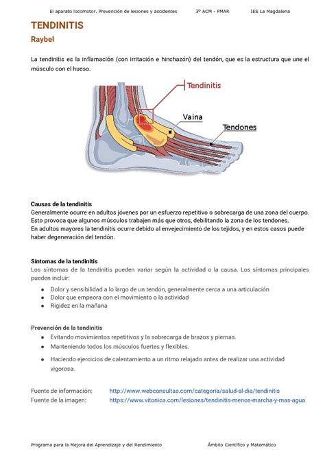 El Aparato Locomotor Prevención de lesiones y accidentes CALAMEO