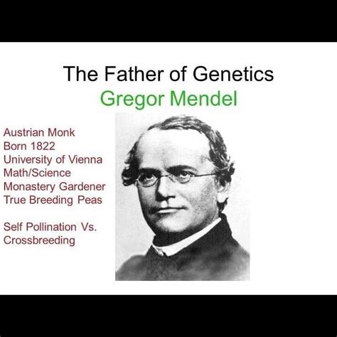 Who Is The Father Of Genetic EduRev Class 12 Question