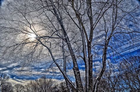 Kostenlose Foto Baum Natur Wald Ast Schnee Kalt Winter Wolke