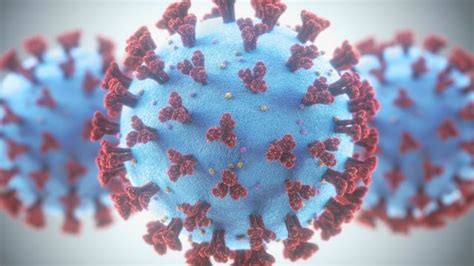 Evoluci N Del Coronavirus Qu Es La Mutag Nesis Letal Y En Qu Medida