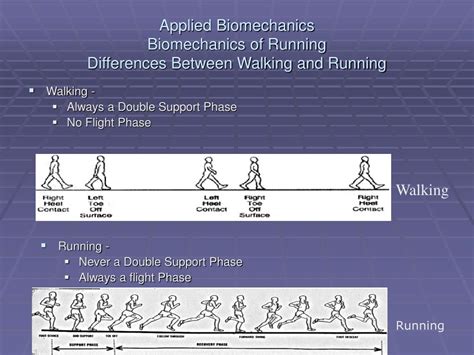 PPT Biomechanics Of Gait Walking PowerPoint Presentation Free