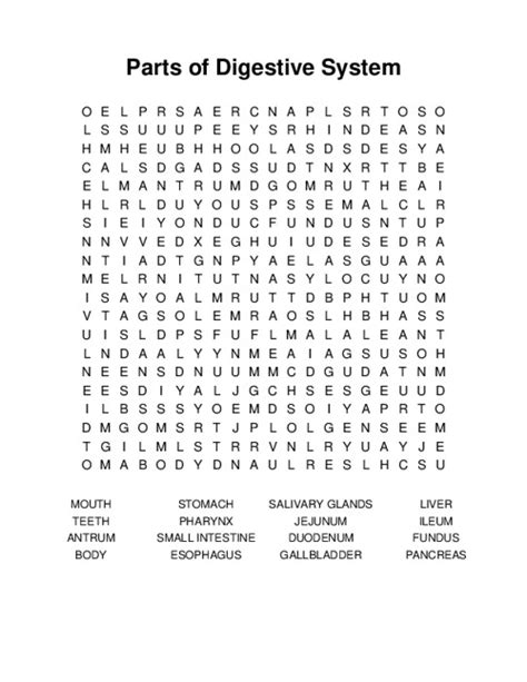 Parts Of Digestive System Word Search