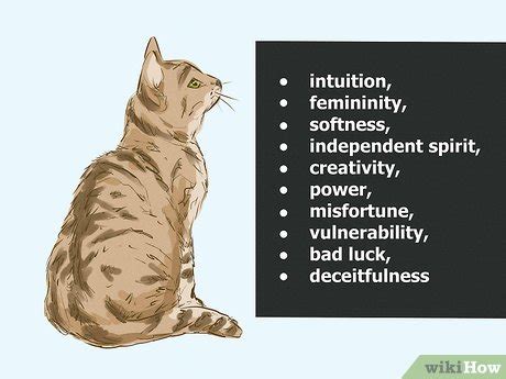 How To Interpret A Dream Involving Cats Meaning Symbolism