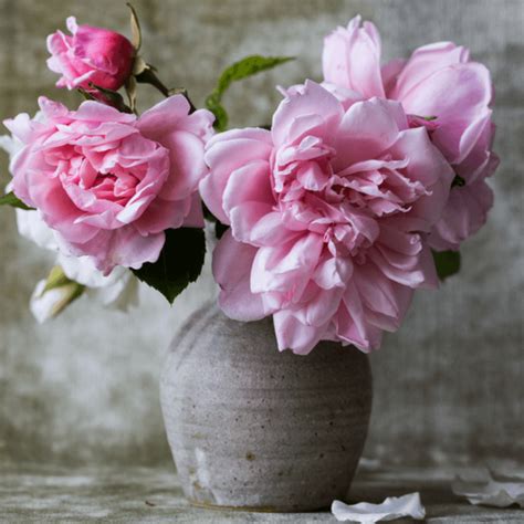 Mother S Day Gift Guide Intentional Living