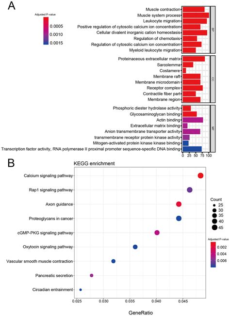 Functional Enrichment Analysis Plots A GO Items Barplot The Bars