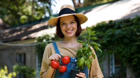 Comment réussir les semis de tomates techniques et conseils pratiques