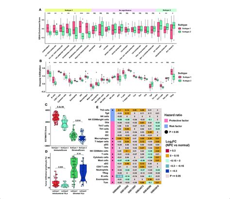 Immune Cell Infiltration Characteristics In Distinct M6A Subtypes