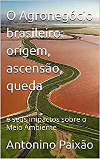 O Agronegócio brasileiro origem ascensão queda e seus impactos