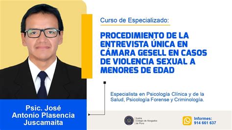 Procedimiento De La Entrevista Nica En C Mara Gesell En Casos De