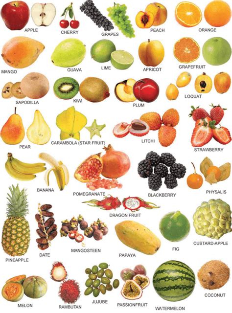 Nama Buah Dalam Bahasa Inggris Dari A Z