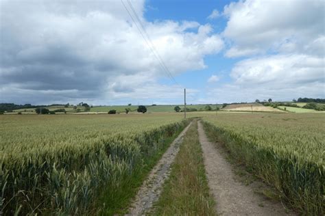 Track To Hillside Farm DS Pugh Geograph Britain And Ireland