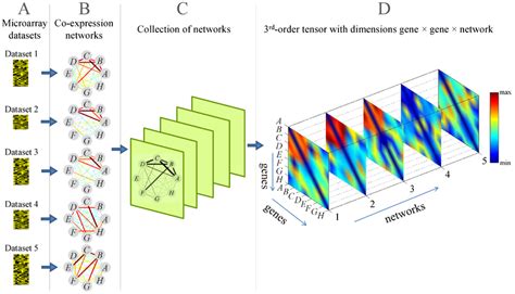 illustration of the tensor representation for multiple networks and a download scientific