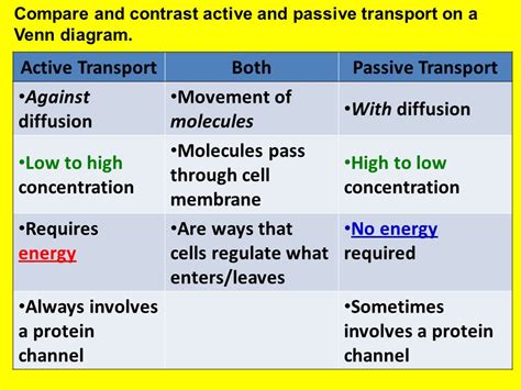 Passive Transport Vs Active Transport Venn Diagram Active Vs