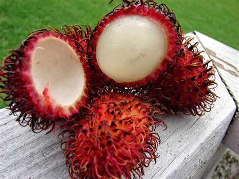 SIAPA SANGKA Kulit Rambutan Ternyata Sangat Efektif Menyembuhkan