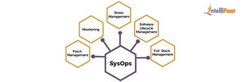 Sysops Vs Devops What S The Difference Intellipaat Blog