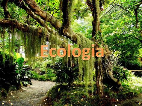 PPT Ecologia do grego oikos casa e logos estudo é o estuda das