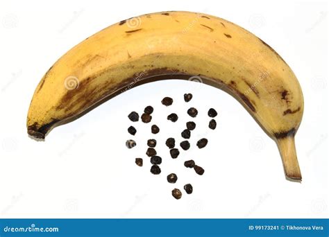 Sementes Da Banana E Da Banana Imagem De Stock Imagem De Biologia