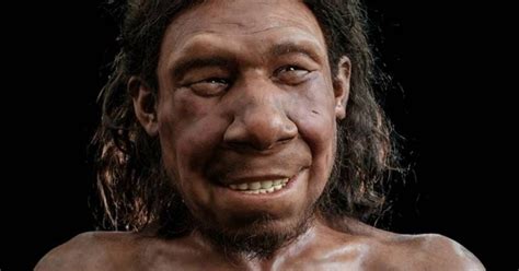 Ce visage est une reconstitution du seul homme de Néandertal découvert