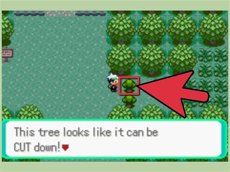 How To Get Cut In Pok Mon Emerald Steps With Pictures