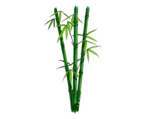 Photo Clipart Png Photo Hd Photos Png Images Design Projects Photo