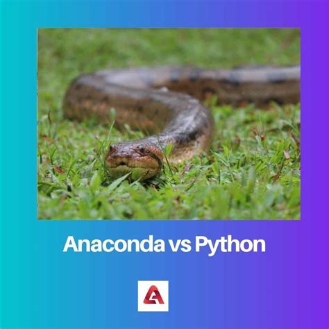Difference Between Anaconda And Python