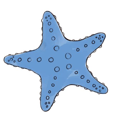 Cómo dibujar una estrella de mar 5 Pasos con imágenes