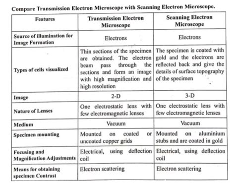 Sem And Tem Microscopes