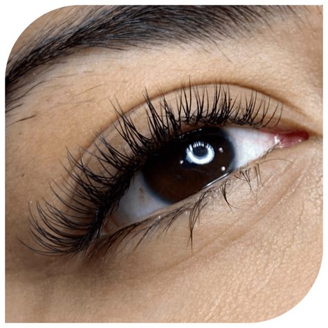 Extensiones de Pestañas Clásicas Que Cejas