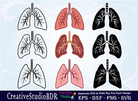 Human Lung SVG Bundle Cut File Lungs Svg Respiratory System Svg